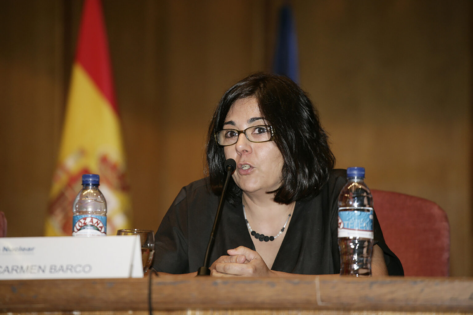 Fotogalería. 2010: La Protección del Medio Ambiente en la Gestión de ...